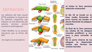ATRESIA DE VÍAS BILIARES Y DEFECTOS DEL TUBO NEURAL.pdf