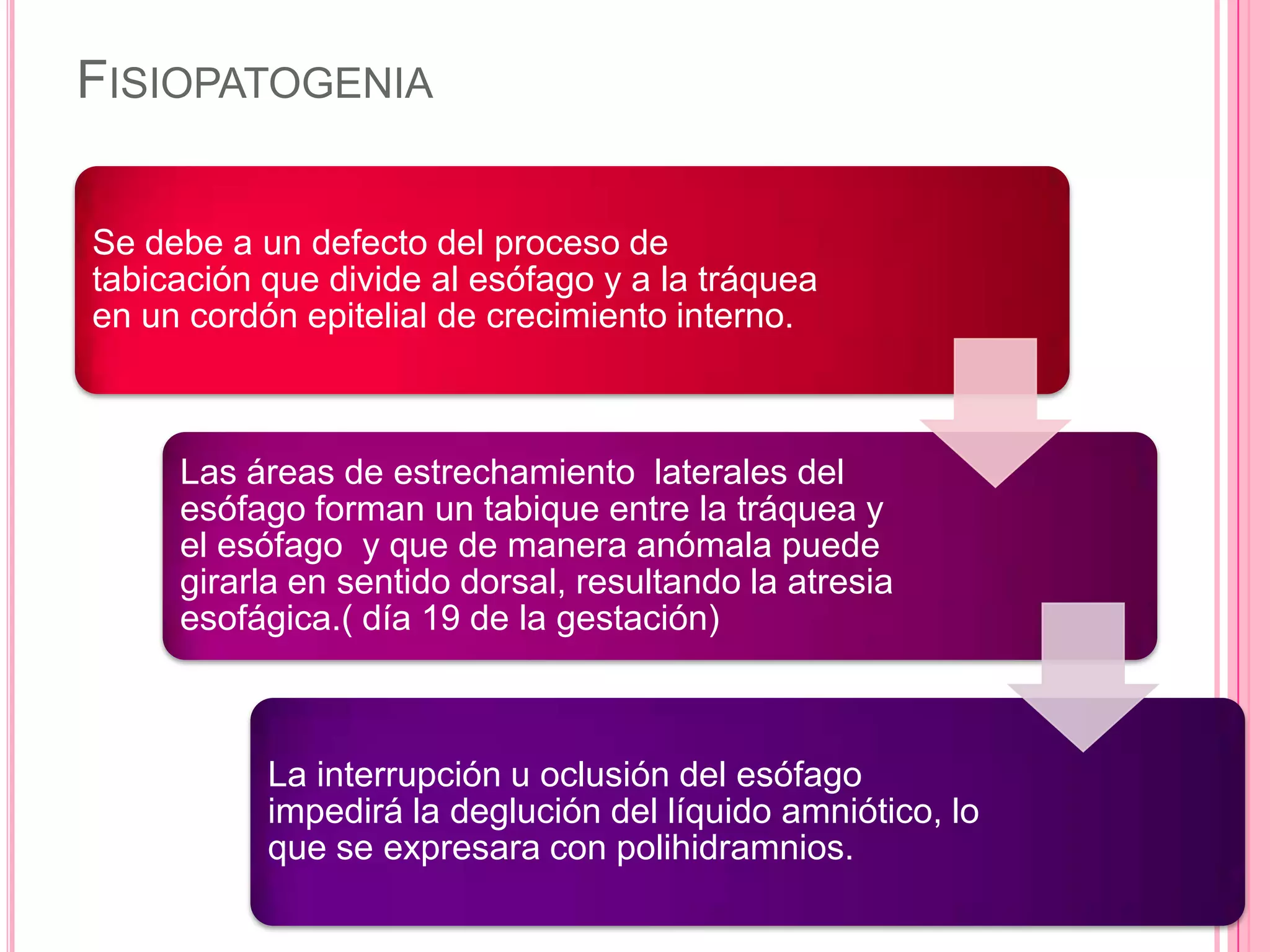 Atresia esofagica fistula traqueoesofagica | PPTX