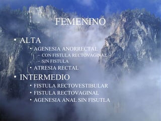 Atresia intestinal | PPT