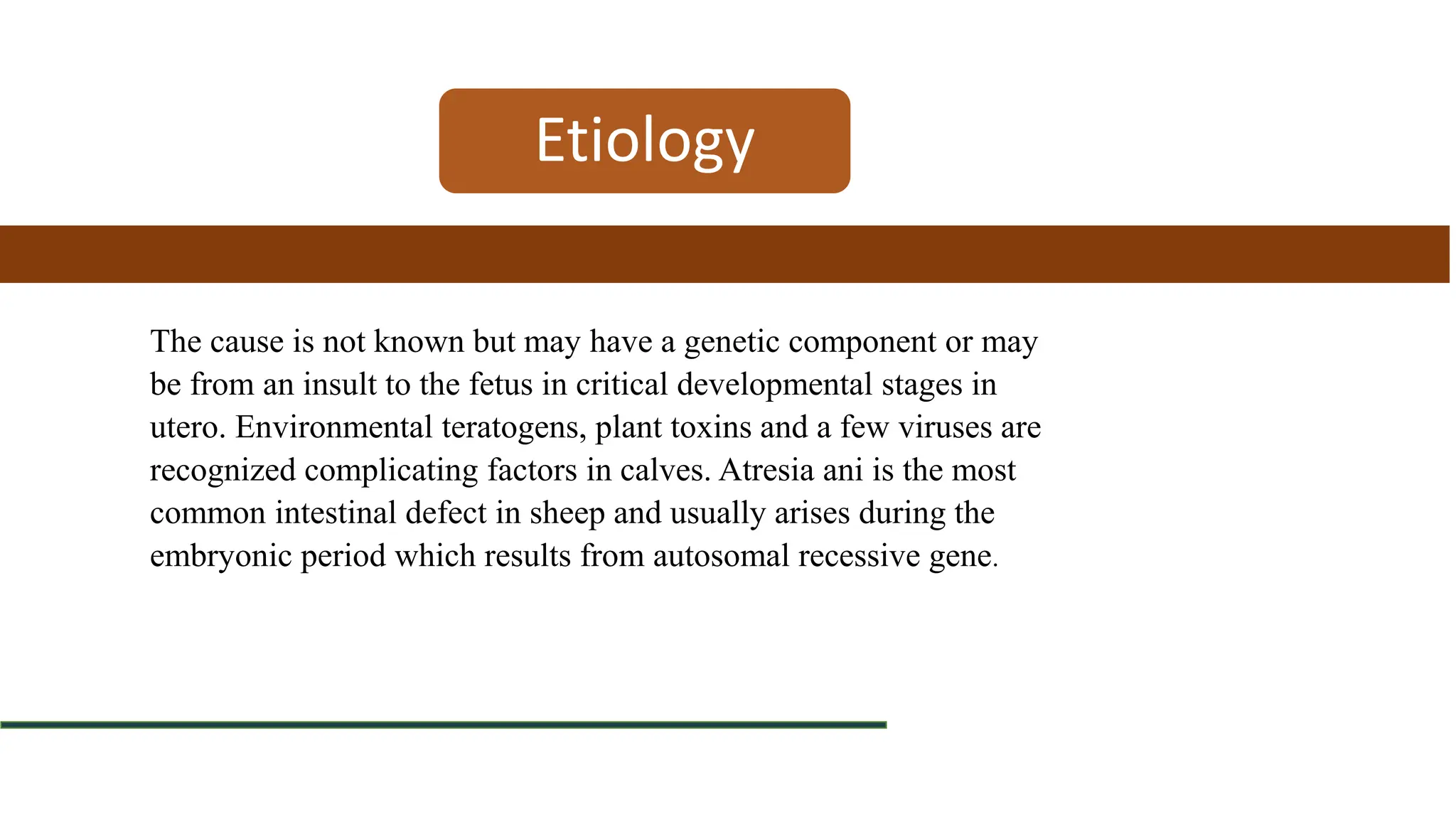 Atresi ani and Recto-vaginal fistula.pptx