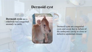 Atresi ani and Recto-vaginal fistula.pptx