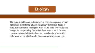 Atresi ani and Recto-vaginal fistula.pptx