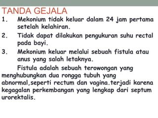 Atresia rekti (khoirunnisa.khusnul. kurnia) | PPT