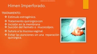 Atresia vaginal | PPTX