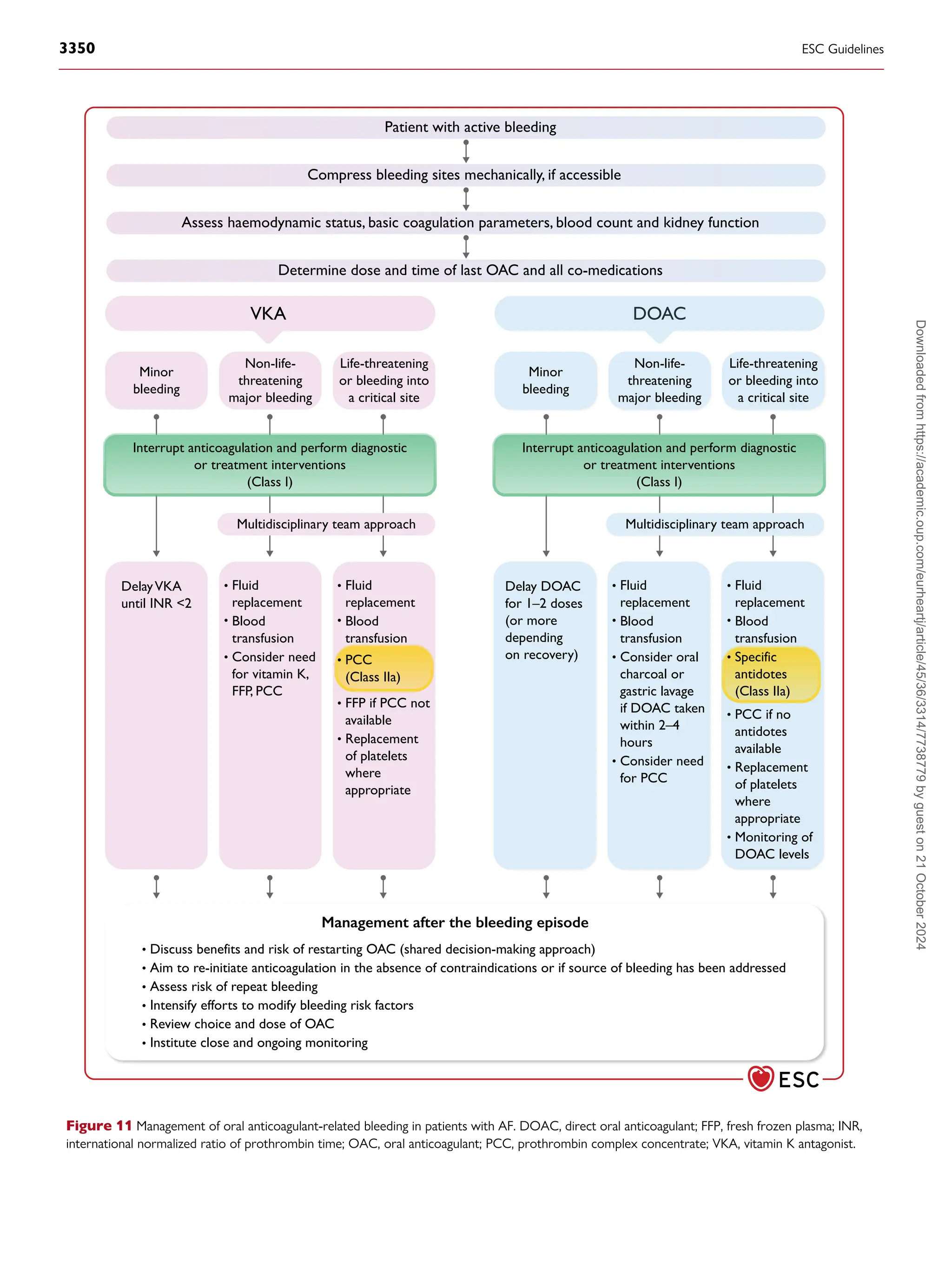 ATRIAL FIBRILLATION- 2024 Guidelines ESC | PDF