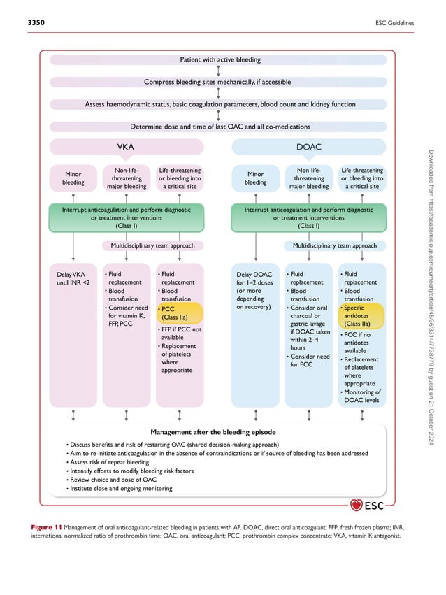 ATRIAL FIBRILLATION- 2024 Guidelines ESC | PDF