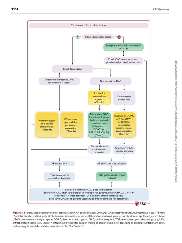 ATRIAL FIBRILLATION- 2024 Guidelines ESC | PDF