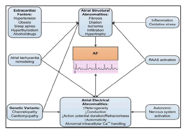 Atrial fib & flutter | PPTX | Heart and Cardiovascular Diseases ...