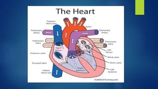 Atrial fibrillation (arrhythmia) | PPTX
