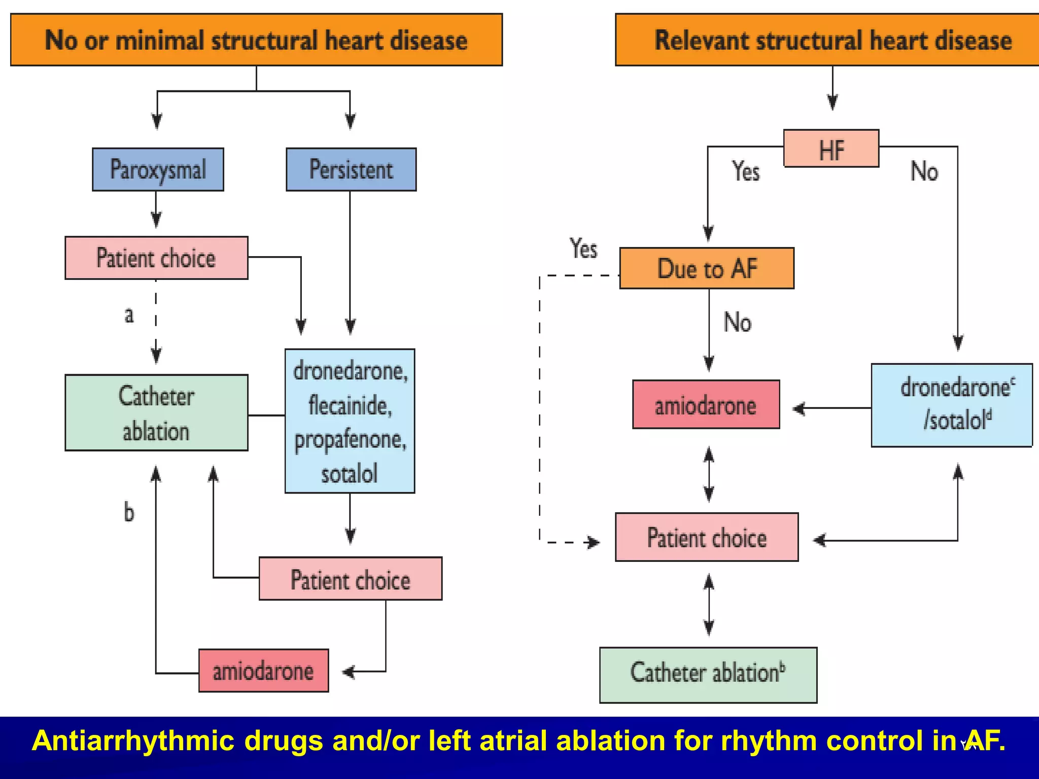 Atrial fibrillation guidelines in 2014. samir rafla | PDF | Heart and ...