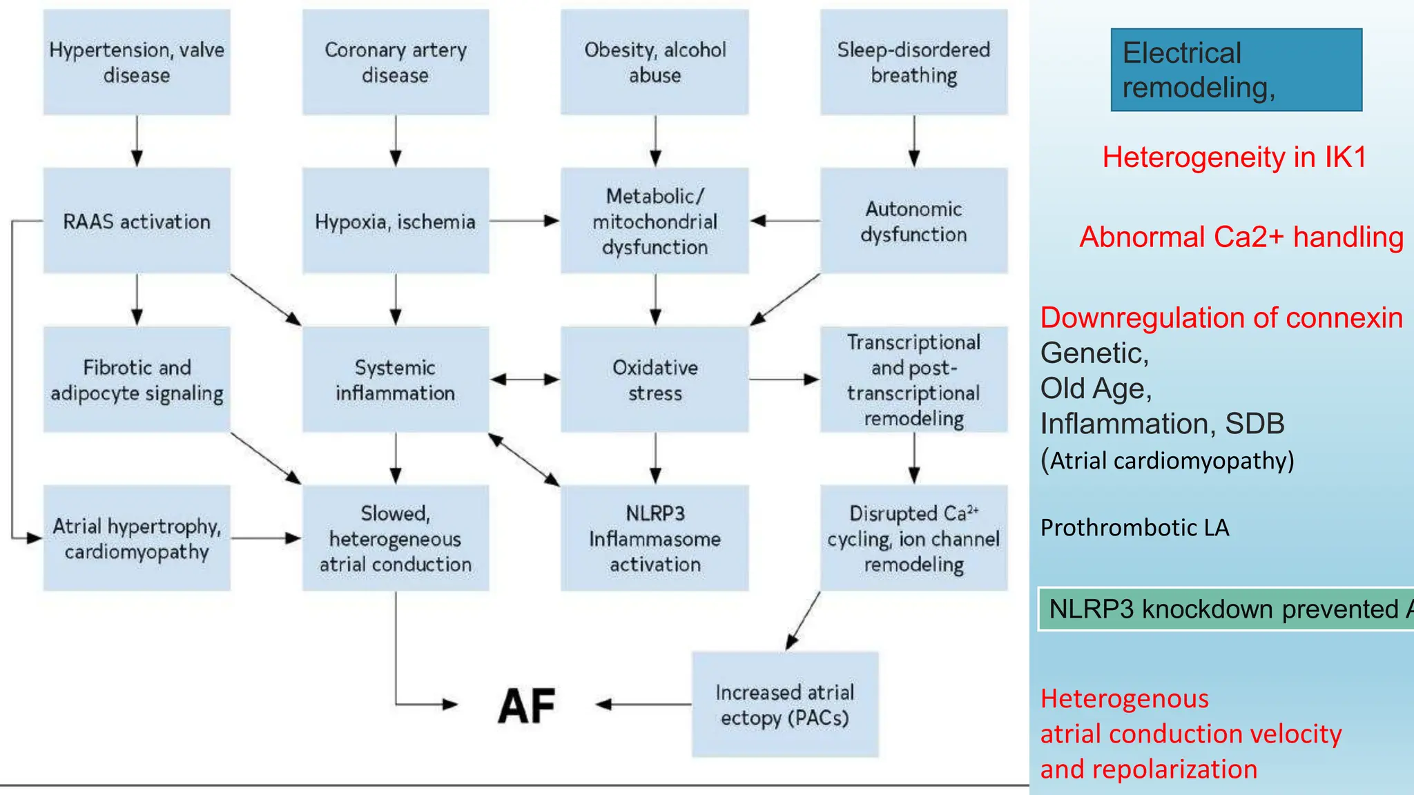 Atrial Fibrillation new 2023 ACC 2.pptx