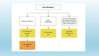 Atrial Fibrillation new 2023 ACC 2.pptx