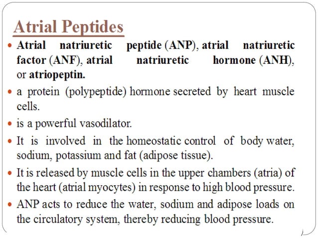 Atrial natriuretic peptides | PPTX