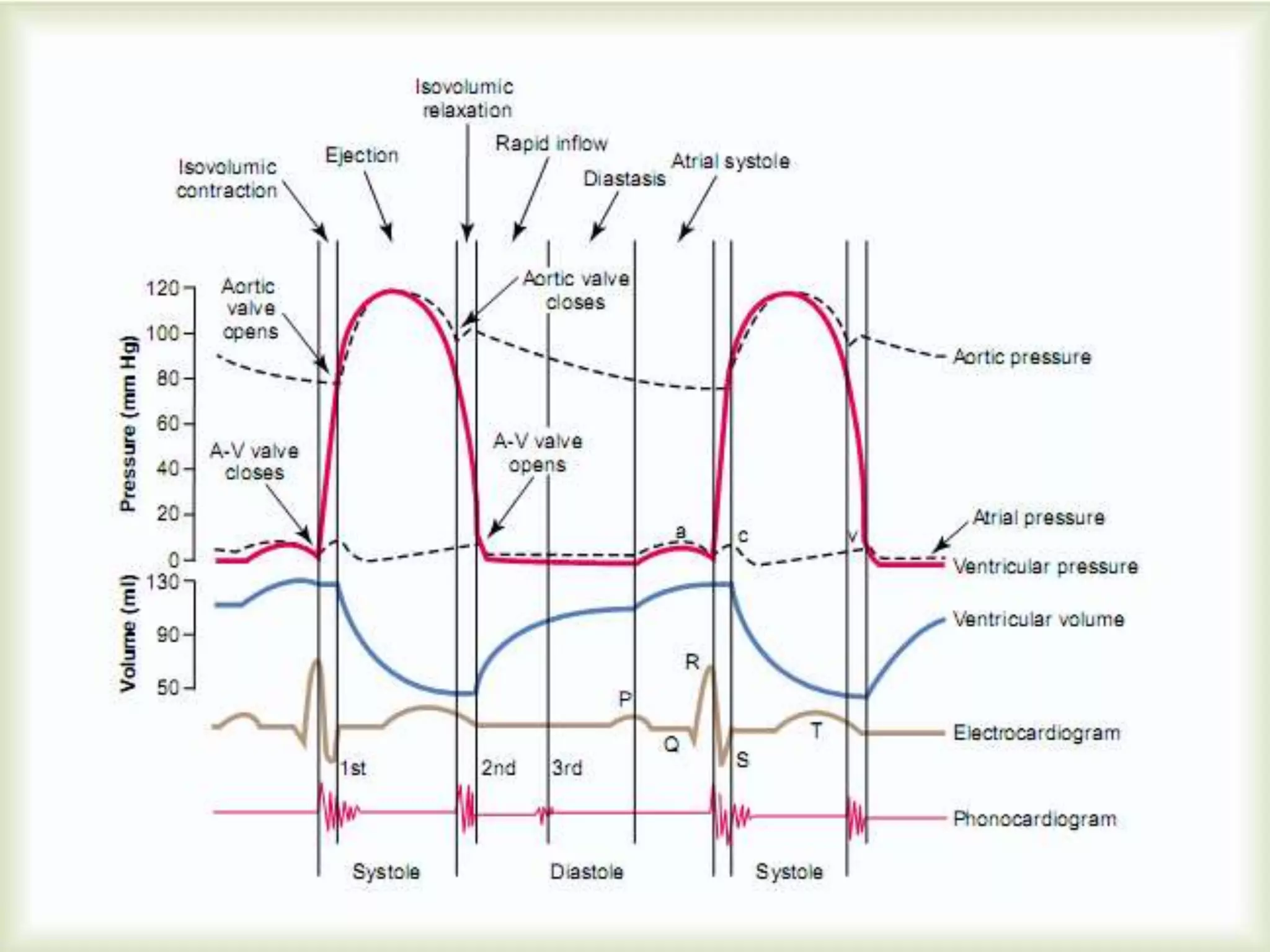 Atrial pressure changes and Jugular Venous pressure | PPTX | Heart and ...