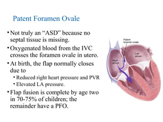 Atrial septal defects 16 3-15 | PPT