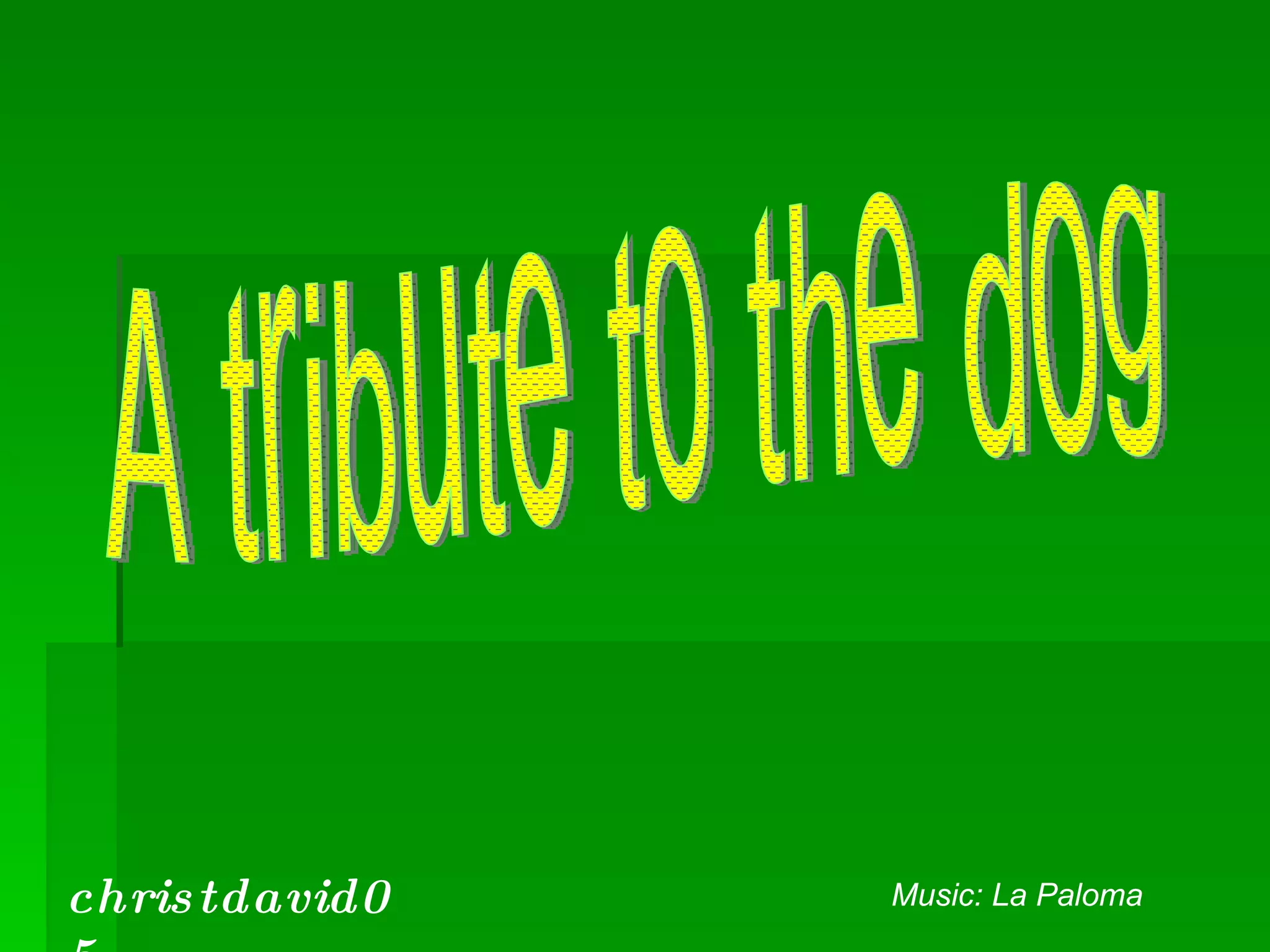 A tribute to the dog | PPS