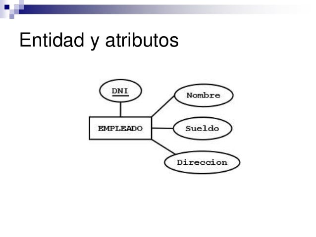 Atributos