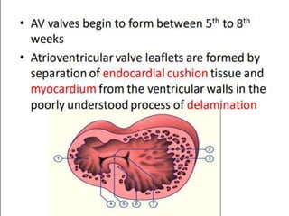 Atrioventricular canal defect | PPTX