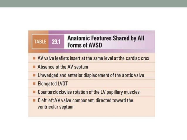 Atrioventricular septal defects | PPTX | Heart and Cardiovascular ...