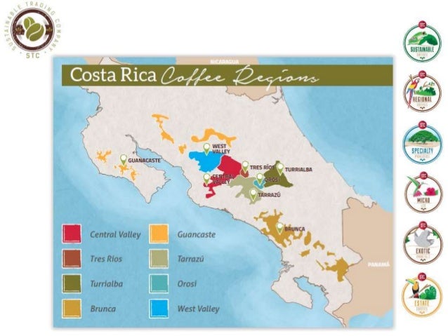 A trip through the Costa Rican coffee industry