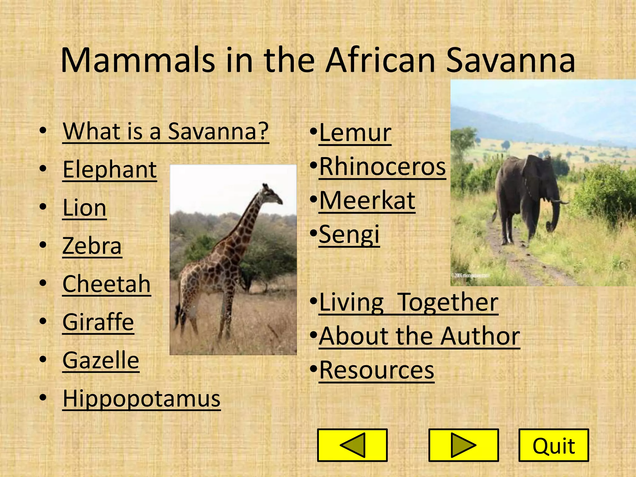 A Trip To The African Savanna | PPTX