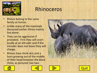 A Trip To The African Savanna | PPTX