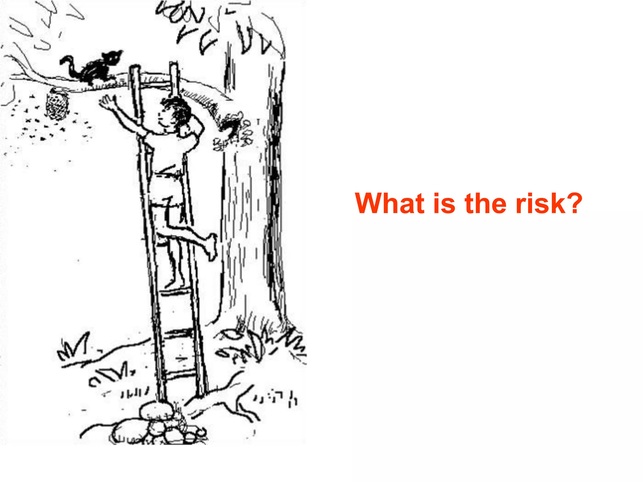 At risk behaviour | PPT