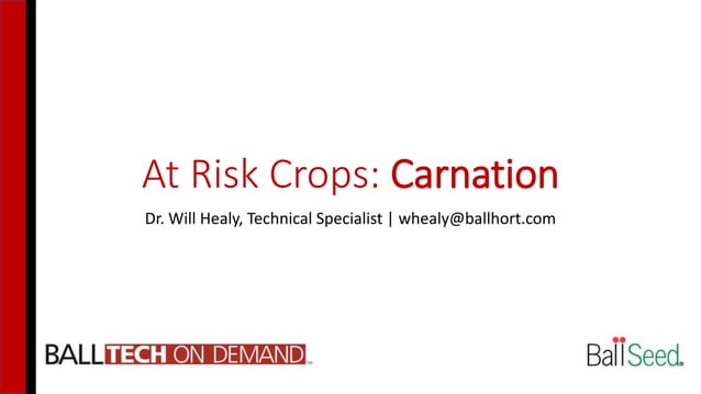 Ball Tech On Demand: At Risk Crops - Carnation | PPTX | Gardening | Home & Garden