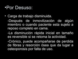 Atrofia muscular | PPT