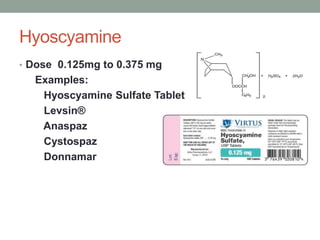 Atropa balladona | PPT