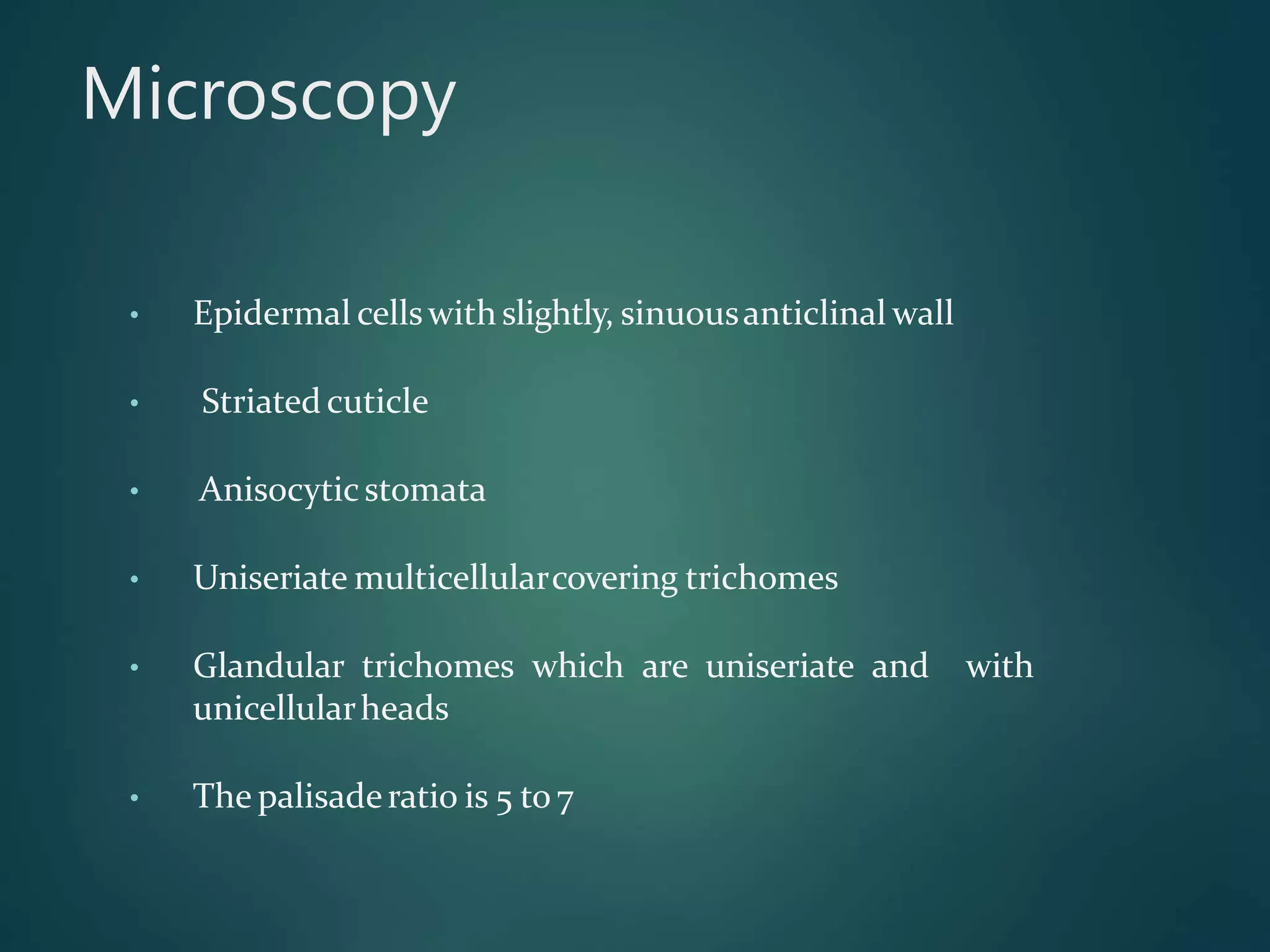 Pharmacognosy of Atropa belladona | PPTX