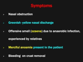 Atrophic rhinitis | PPT