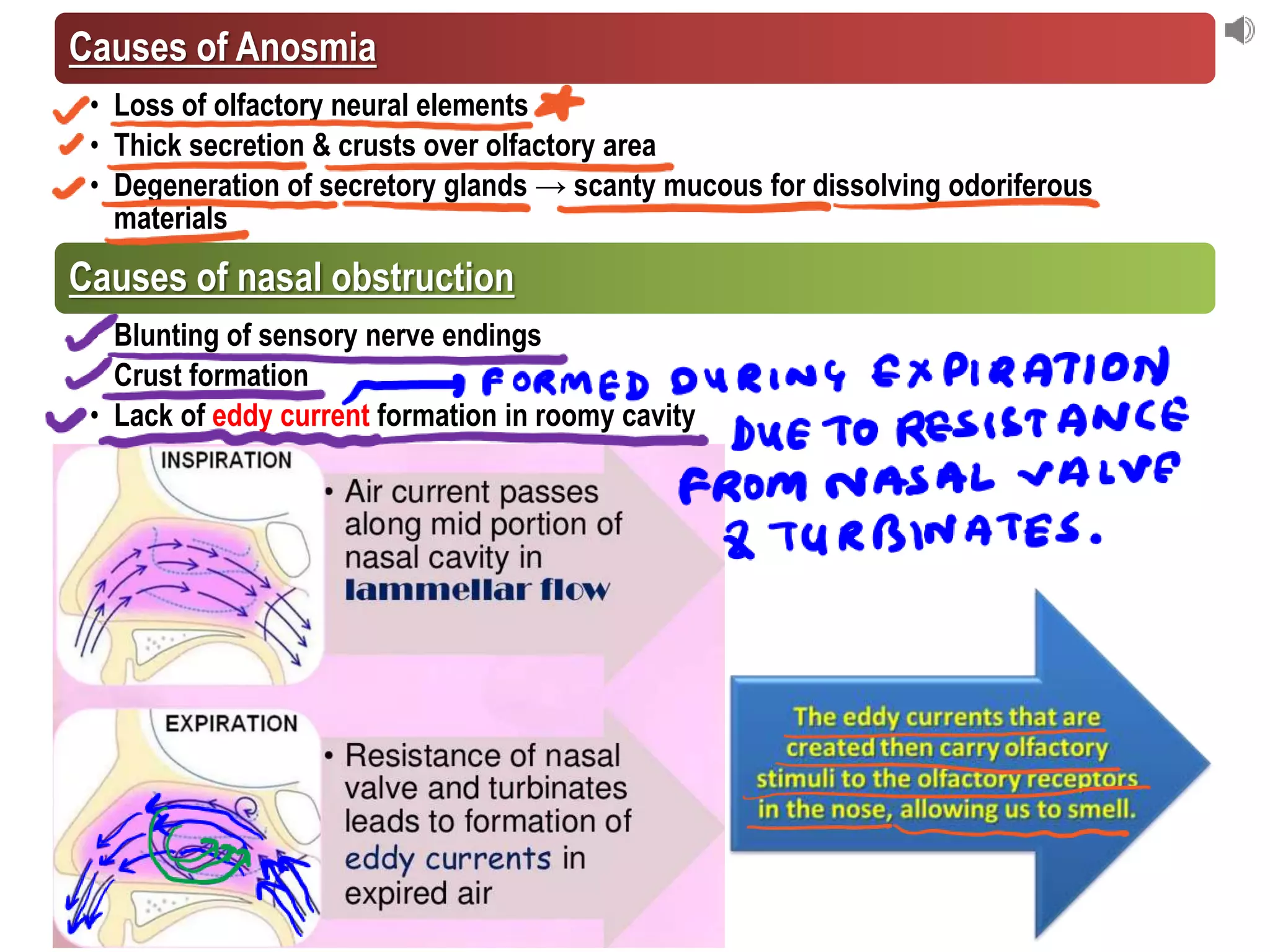 Atrophic rhinitis.pptx