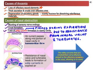Atrophic rhinitis.pptx
