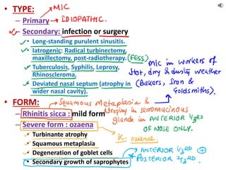Atrophic rhinitis.pptx