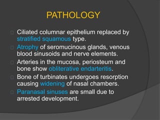 Atrophic rhinitis and Allergic rhinitis-ENT 3rd MBBS | PPTX