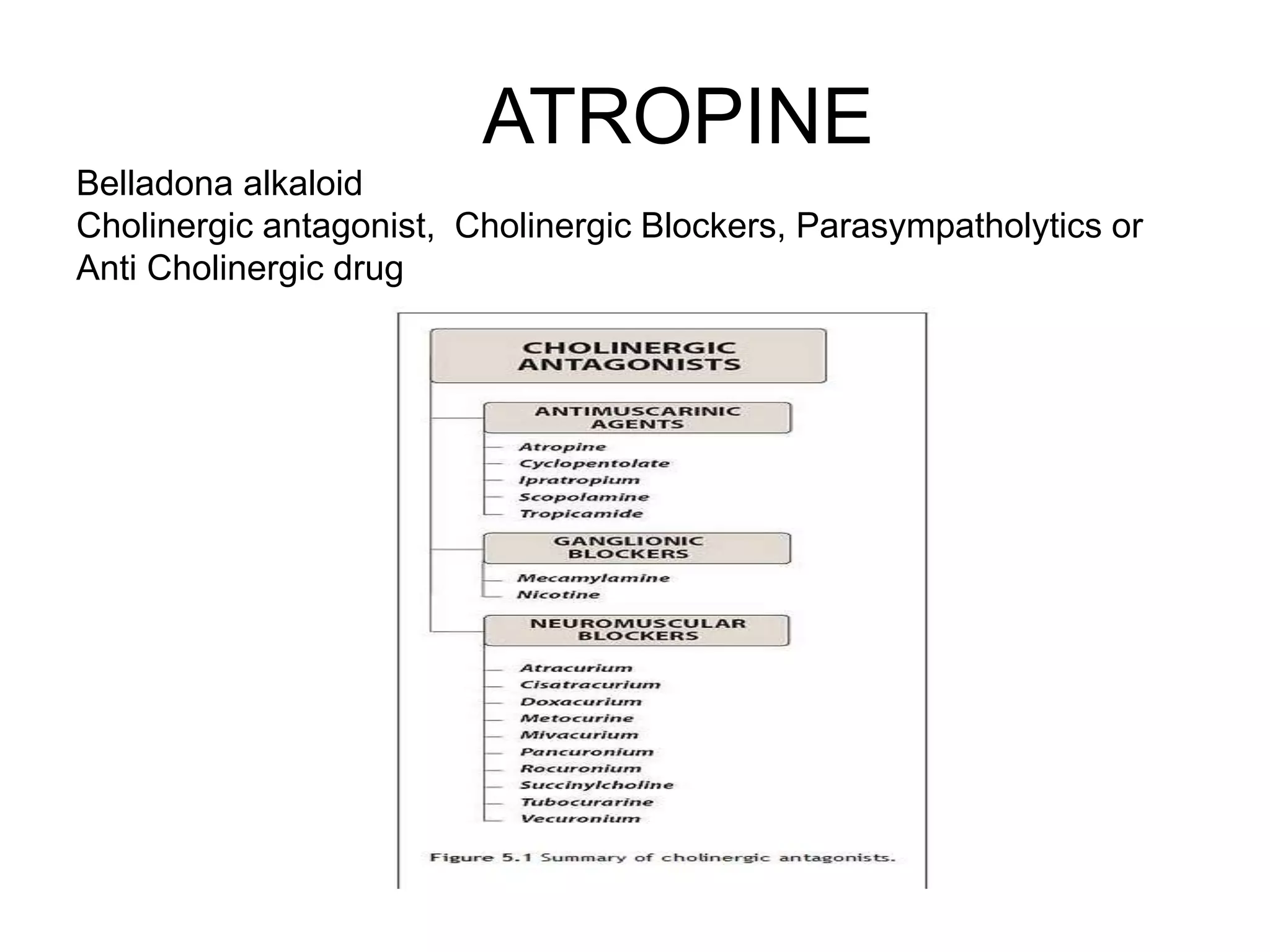 Atropine Dr-Z Pharmacy Practice | PPTX
