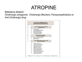 Atropine Dr-Z Pharmacy Practice | PPT