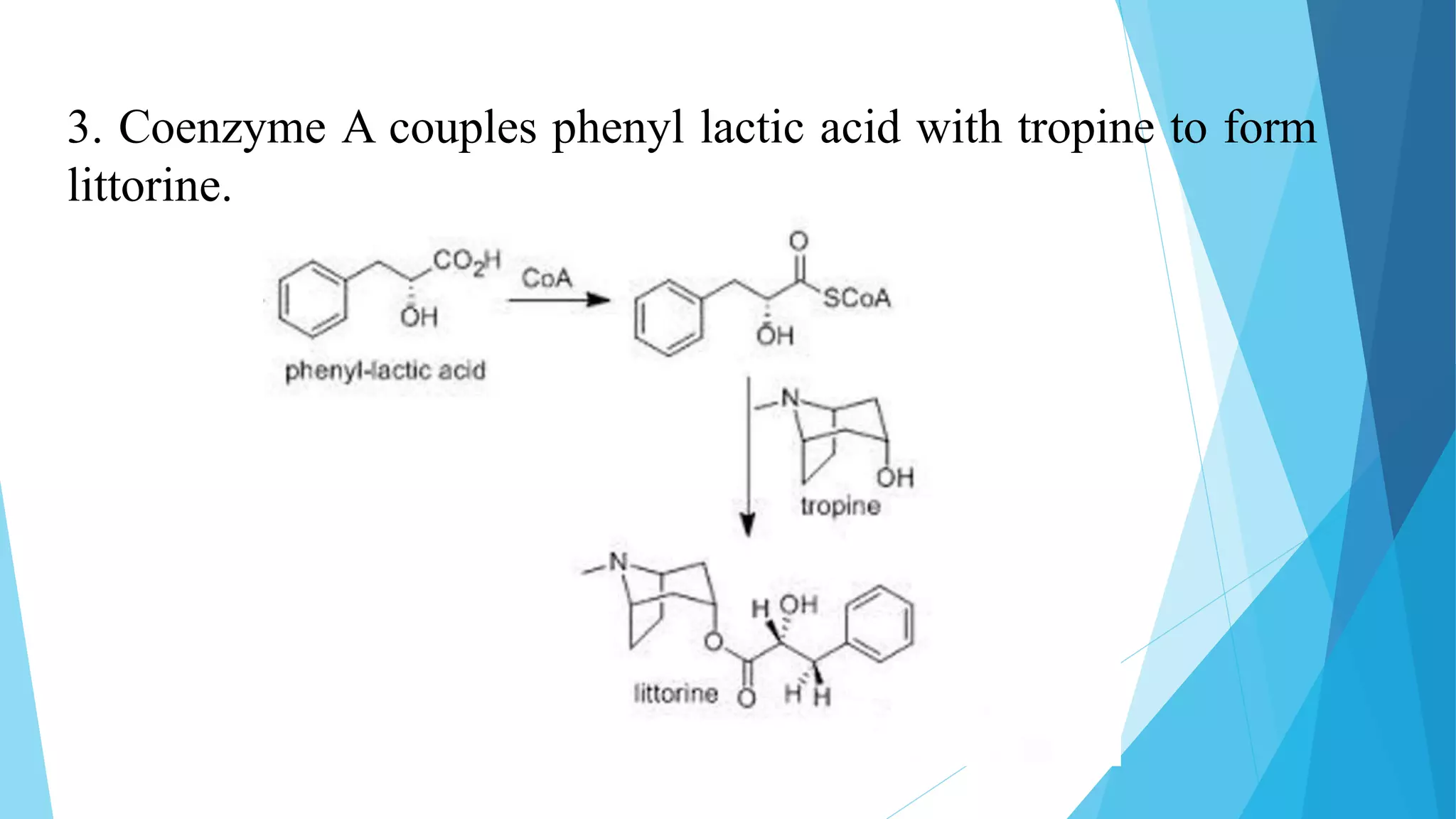 Atropine.pptx