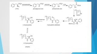 Atropine.pptx