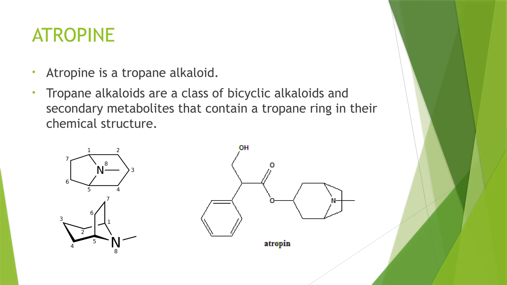 Isolation, Identification And Analysis Of Atropine | PPTX