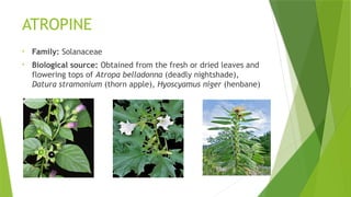 Isolation, Identification And Analysis Of Atropine | PPTX