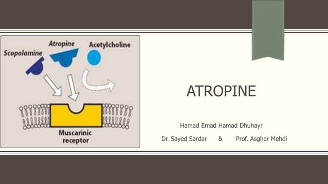 Atropine | PPTX | Eye and Vision Conditions | Diseases and Conditions