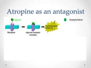 Atropine | PPTX
