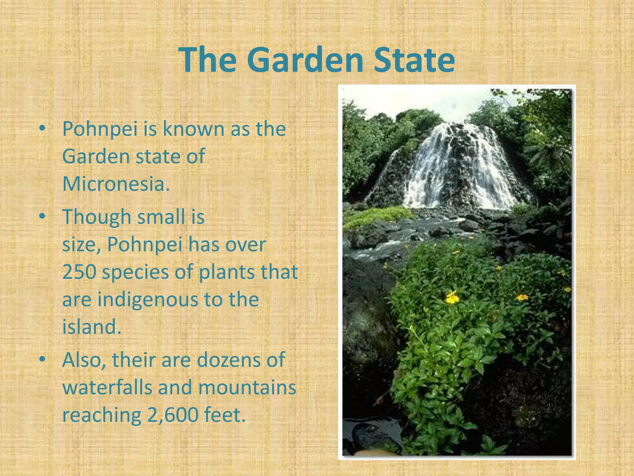 A true paradise powerpoint | PPTX