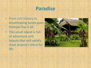 A true paradise powerpoint | PPTX