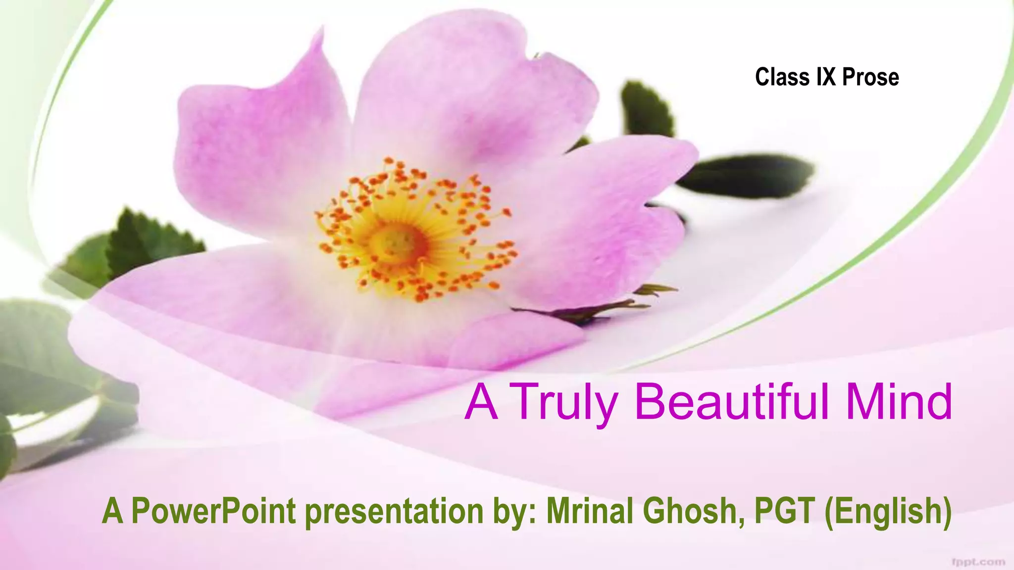 A truly Beautiful Mind | PPT