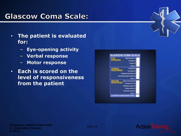 ATS - secondary trauma | PPTX | First Aid | Injuries