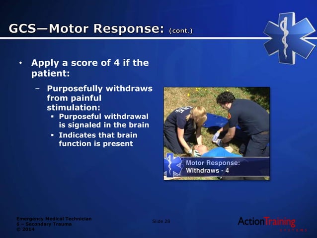 ATS - secondary trauma | PPTX | First Aid | Injuries