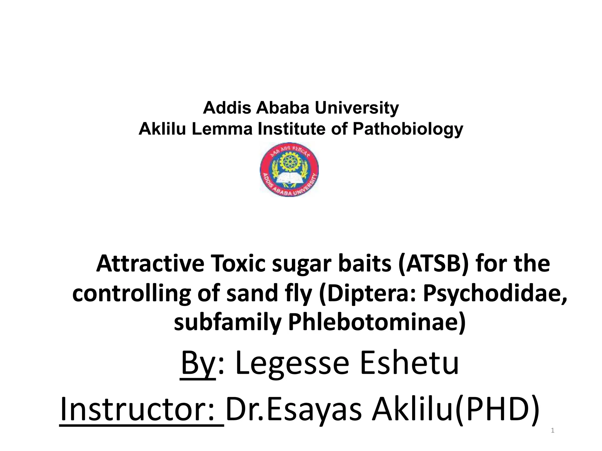 ddddddddddddddddddddddddddddddddddddATSB.pptx